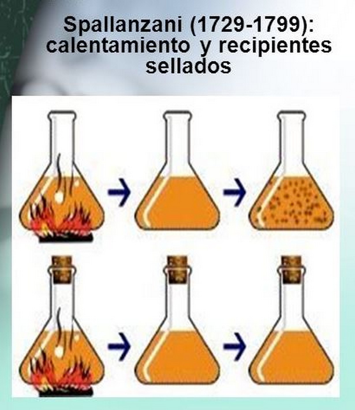 Experimento De John Needham - abstractor